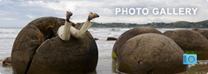 Home — Moeraki Boulders, New Zealand - Café, Bar & Gift Shop